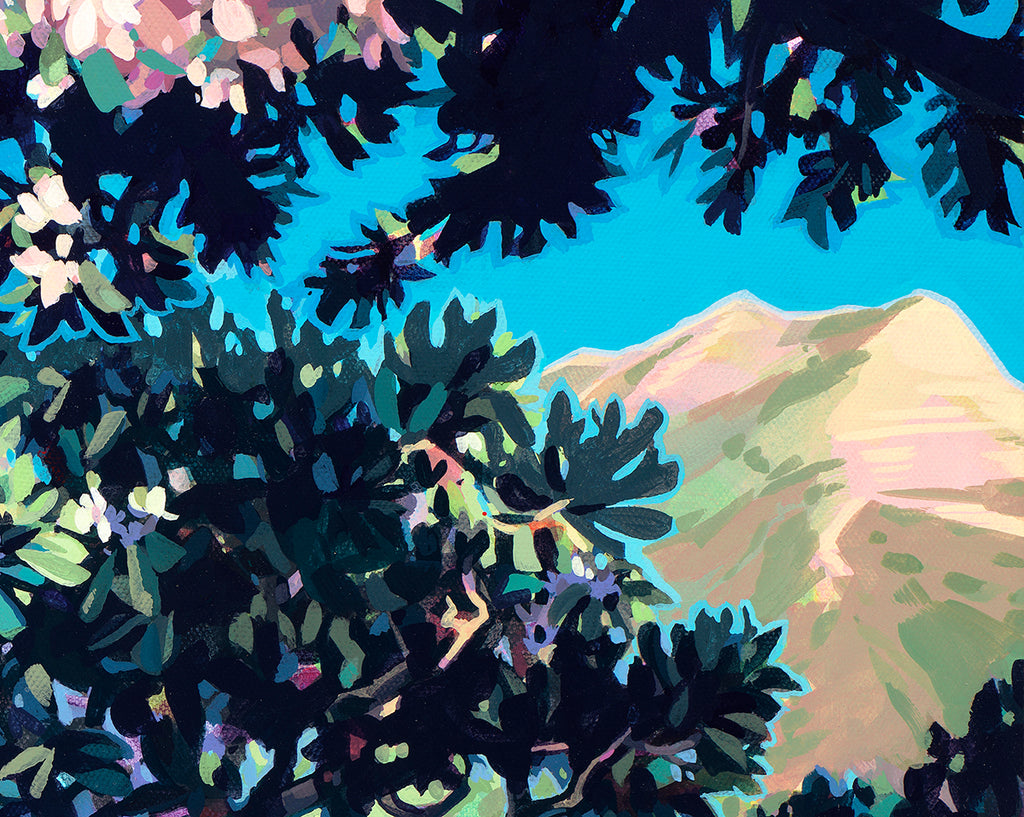 MATTED PRINTS – Shinn Studio